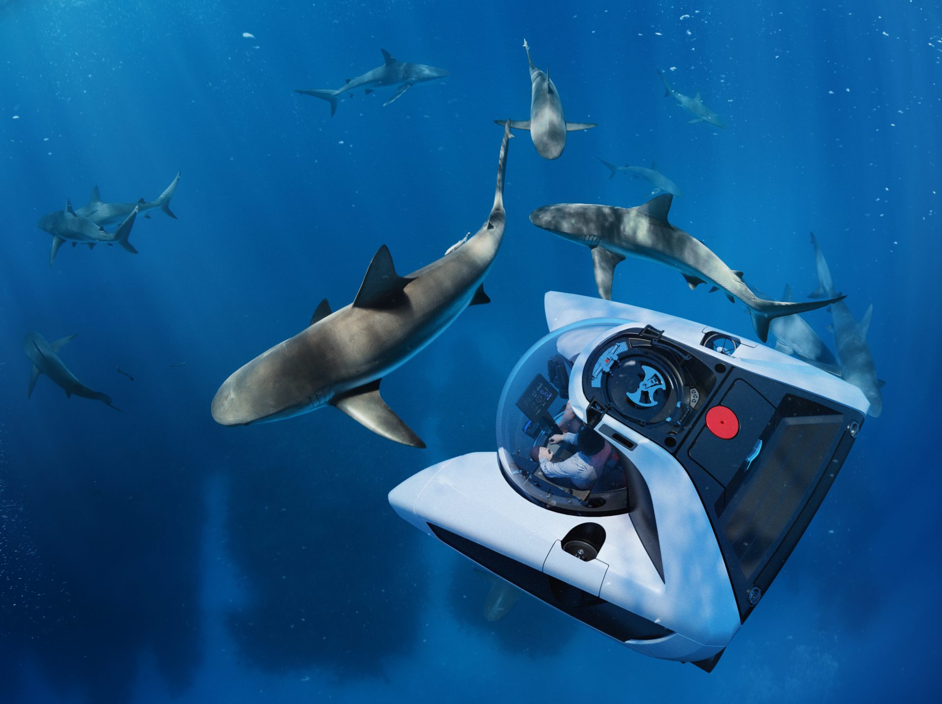 NEMO and ROAM SHADOW support vessel create unprecedented ‘combi deal ...